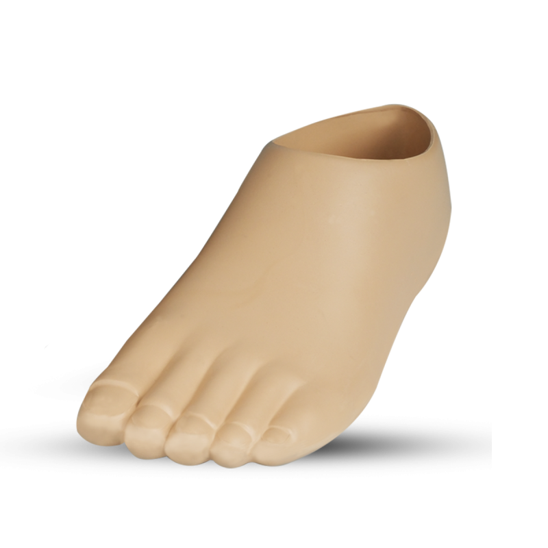 Pie Articulado- PR01.H1 - Prosthetic Tools